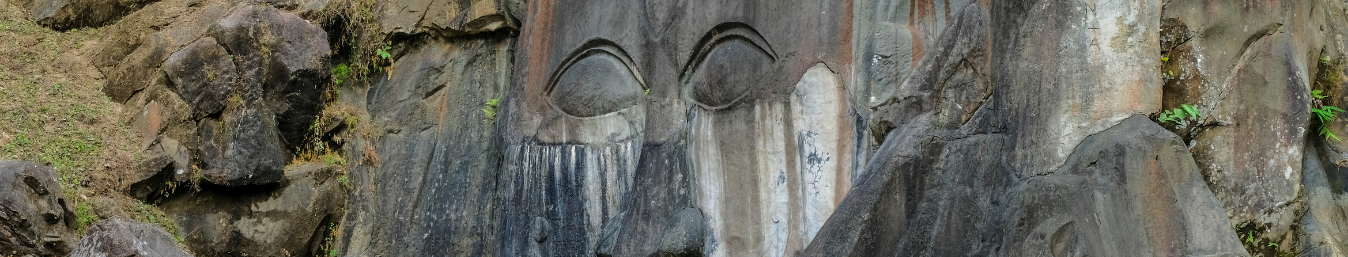 What is (TIDC), Tripura industrial development corporation ...