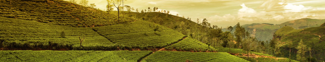 What is (AIDC) Assam Industrial Development Corporation Ltd ...